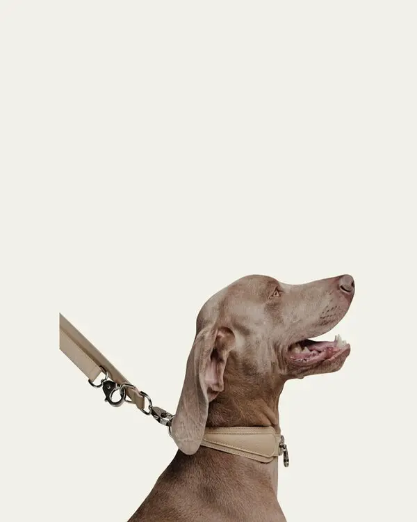PAGERIE The Tascher Leash