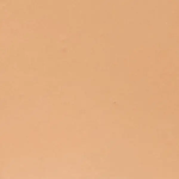 SHISEIDO Synchro Skin Self Refreshing Tint Spf 20