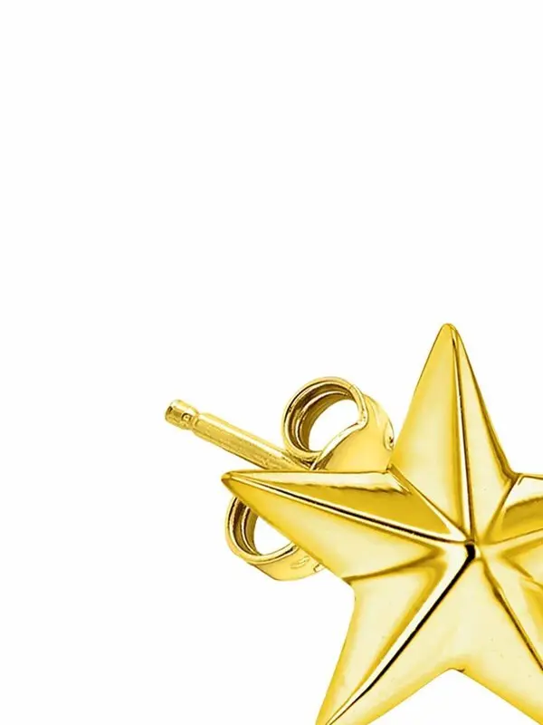 TRUE ROCKS Star Stud Earring - Gold