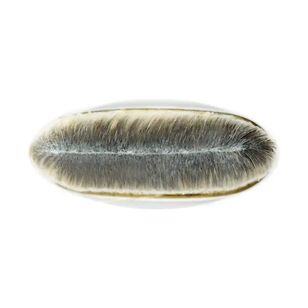MAC COSMETICS 190 Foundation Brush - One-color