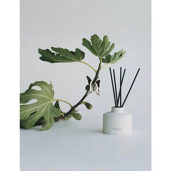 Jo Malone Fresh Fig & Cassis Diffuser Refill 350ml - One-color