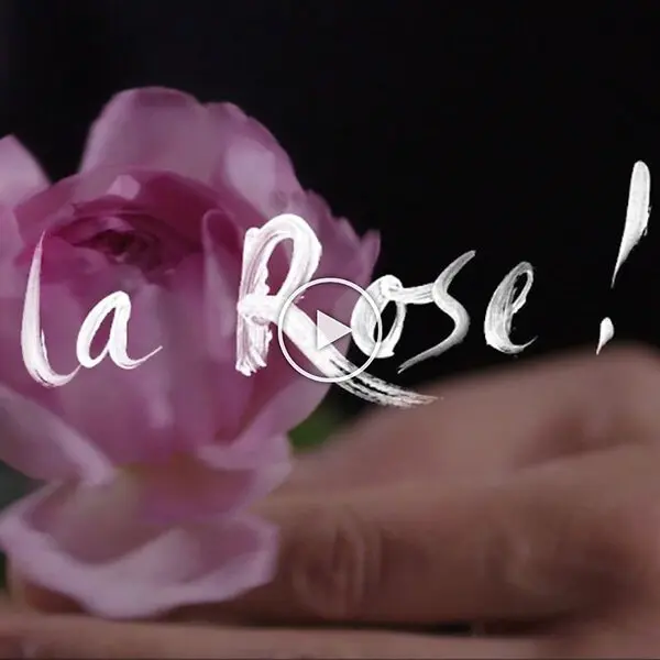GUERLAIN La Petite Robe Noire Eau De Parfum - Na