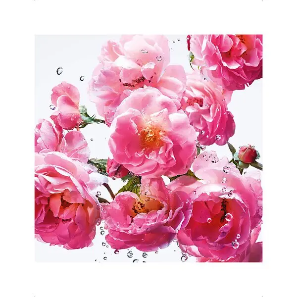 Dior Miss Rose N'roses Roller Pearl Eau De Toilette