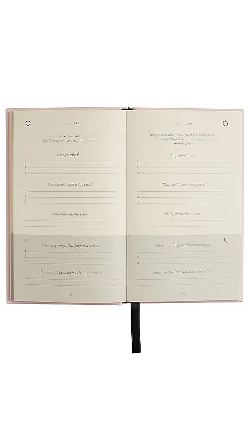 INTELLIGENT CHANGE Five Minute Journal In Pink