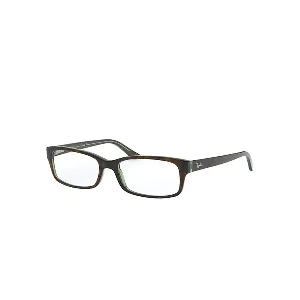 Ray-ban Optics Eyeglasses Frame