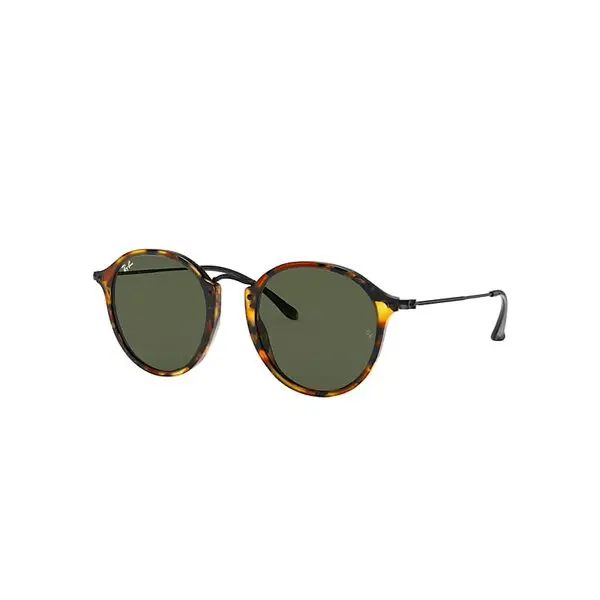 Ray-ban Round Fleck Sunglasses - Black