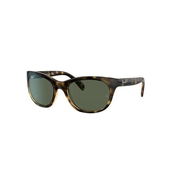 Ray-ban Rb4216 Sunglasses Frame Grey Lenses