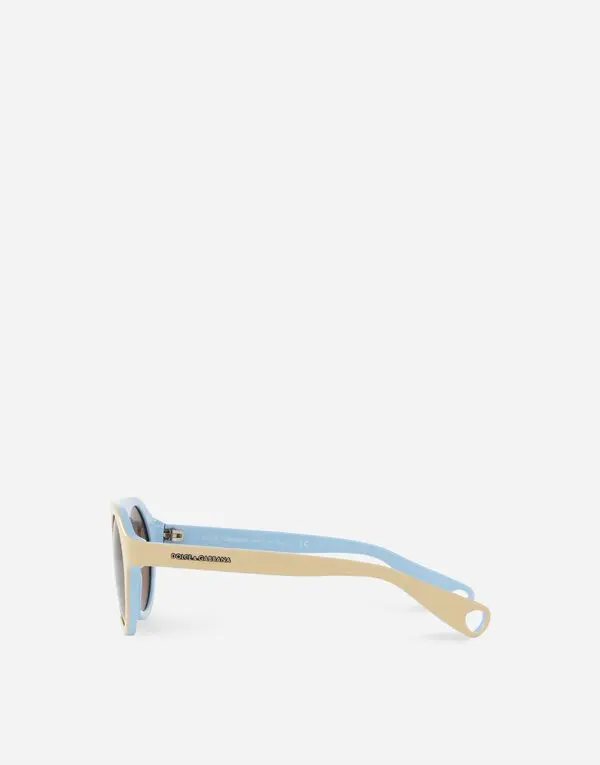 Dolce & Gabbana Round Frame Sunglasses