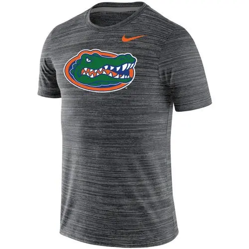Nike Florida Gators Big & Tall Velocity Performance T-shirt
