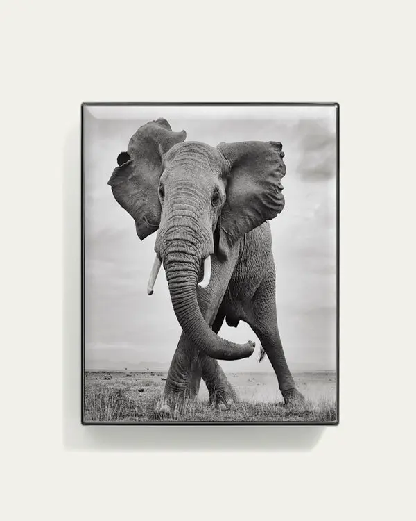 CHANTECAILLE Luminescent Eye Shades - Elephant