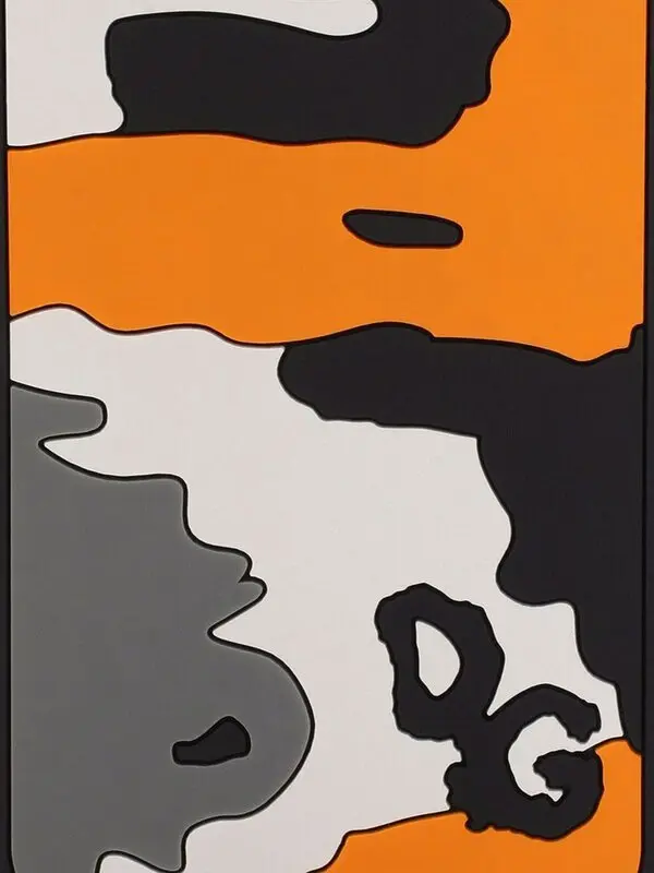 Dolce & Gabbana Camouflage-print Iphone 12 Pro Max Case