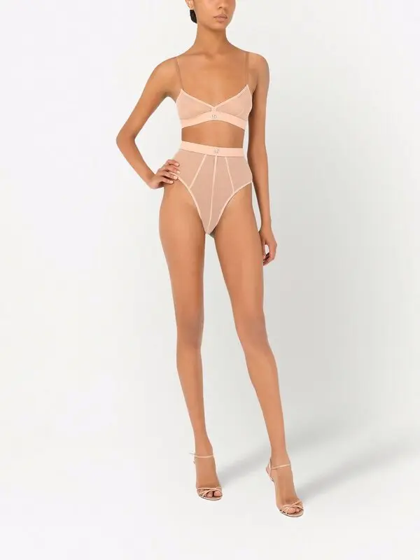 Dolce & Gabbana Dg-logo Tulle Triangle Bra - Neutrals