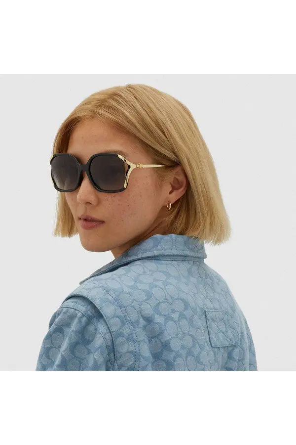 Coach Oversized Horse And Carriage Sunglasses - Black  display picture 1