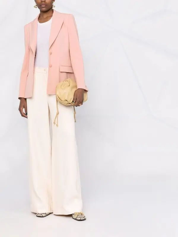 Alberta Ferretti Single-breasted Blazer