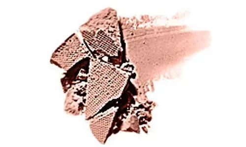 CLINIQUE Blushing Blush Powder Blush - Aglow