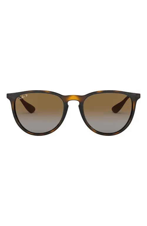 Ray-ban Erika Classic Sunglasses - Havana