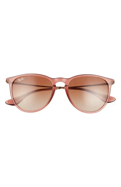 Ray-ban Erika Classic Sunglasses - Tan Brown