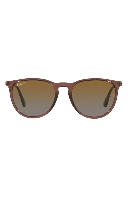 Ray-ban Erika Classic Sunglasses - Transparent Brown
