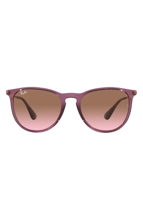 Ray-ban Erika Classic Sunglasses - Violet