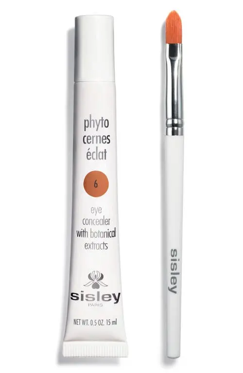 HAIR RITUEL BY SISLEY Phyto-cernes Éclat Eye Concealer - 6 Deep