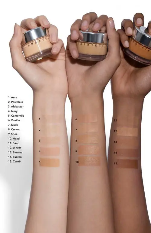 CHANTECAILLE Future Skin Gel Foundation