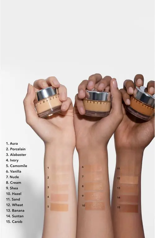 CHANTECAILLE Future Skin Gel Foundation