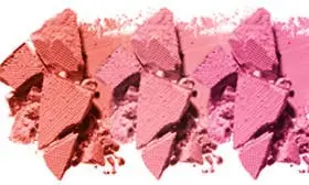 KEVYN AUCOIN The Neo-blush Powder Blush Compact