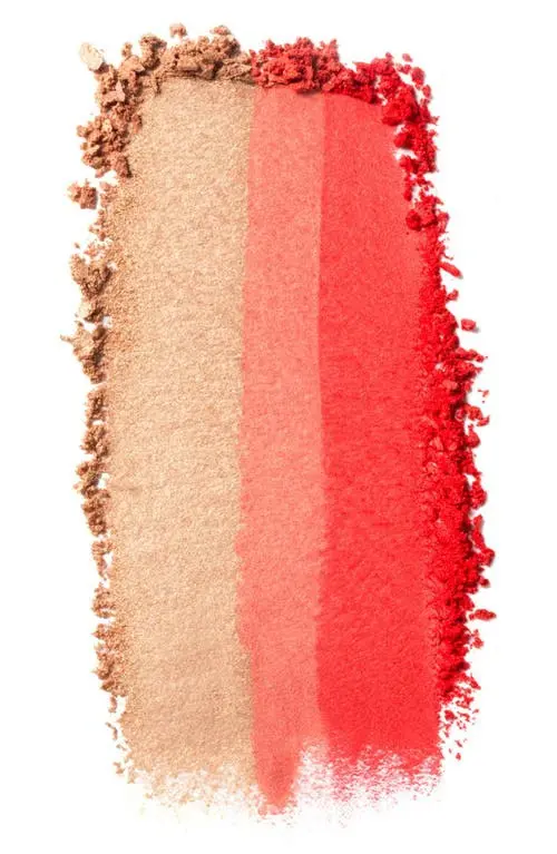 KEVYN AUCOIN The Neo-blush Powder Blush Compact