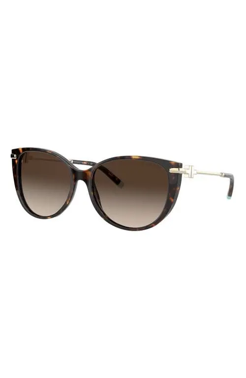 Tiffany & Co. 57mm Gradient Cat Eye Sunglasses - Dark Havana