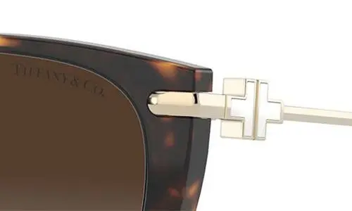 Tiffany & Co. 57mm Gradient Cat Eye Sunglasses - Dark Havana