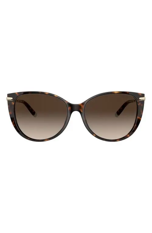 Tiffany & Co. 57mm Gradient Cat Eye Sunglasses - Havana/brown Gradient