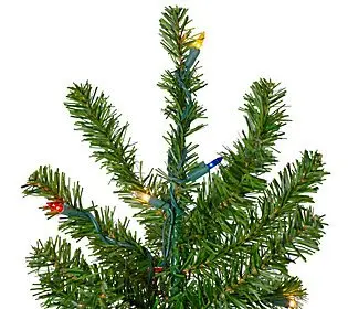 NORTHLIGHT 7.5' Prelit Canadian Pine Christmas All Tree