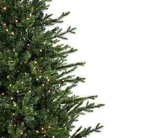 NORTHLIGHT Norhtlight 6' Pre-lit Potted Deluxe Russian Pin Tree