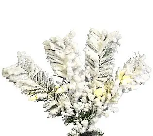 VICKERMAN 6.5' Flocked Pacific Tree By