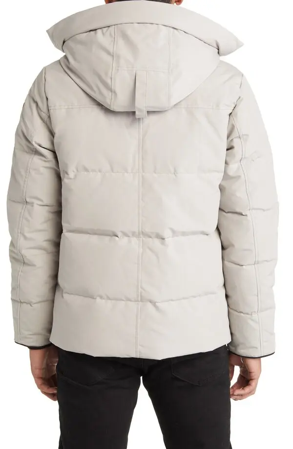 Canada Goose Wyndham Water Repellent Down Parka - Limestone