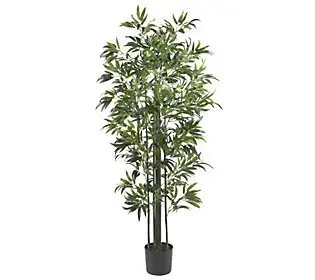 NEARLY NATURAL 6' Bamboo Tree By - One-color