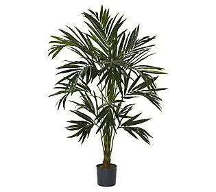NEARLY NATURAL 6' Kentia Silk Tree By - One-color
