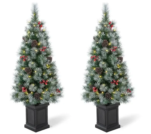 GLITZHOME 4' Pre-lit Pine Artificial Christmas Rch Tree S/2 - One-color