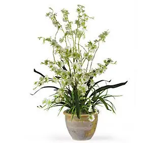 NEARLY NATURAL Dancing Lady Orchid Arrangement Nearlynatura L - One-color