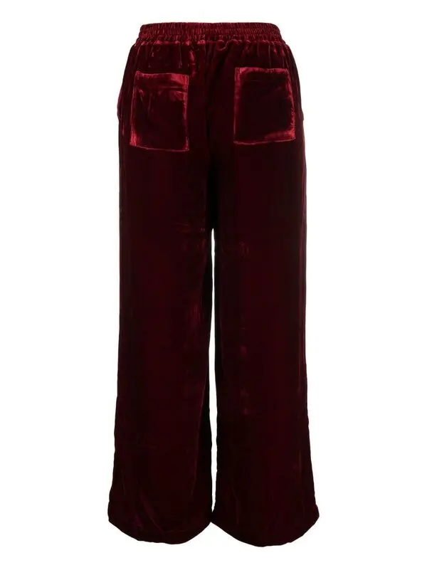 Gold Hawk Velvet Pants - Red