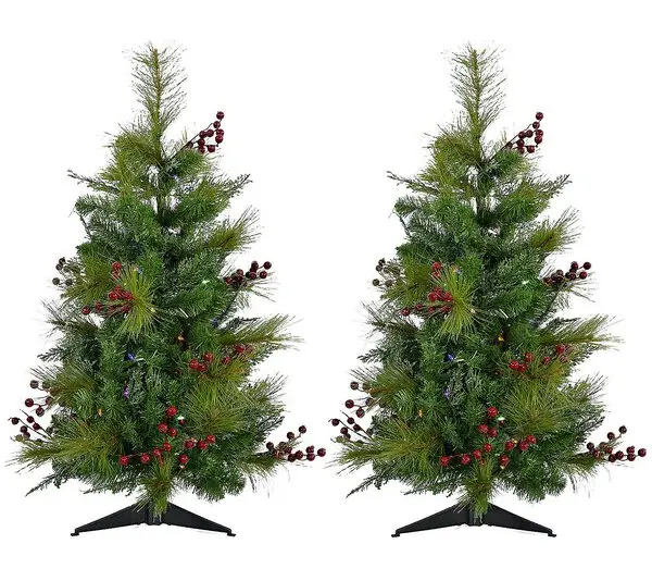 FRASER HILL FARM Set Of Two 4-ft Newberry Pine Rees - One-color