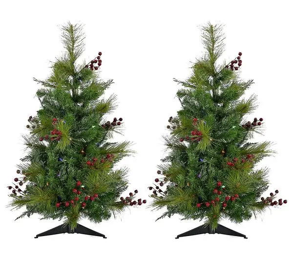 FRASER HILL FARM Set Of Two 3-foot Newberry Pine Trees - One-color