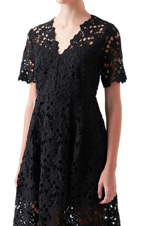 Endless Rose Allover Lace Midi Dress - Black