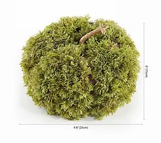 SAFAVIEH Faux 10' Moss Pumpkin