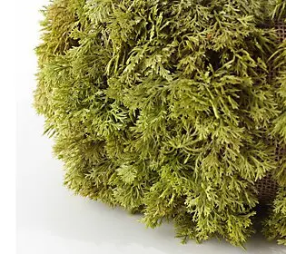 SAFAVIEH Faux 10' Moss Pumpkin