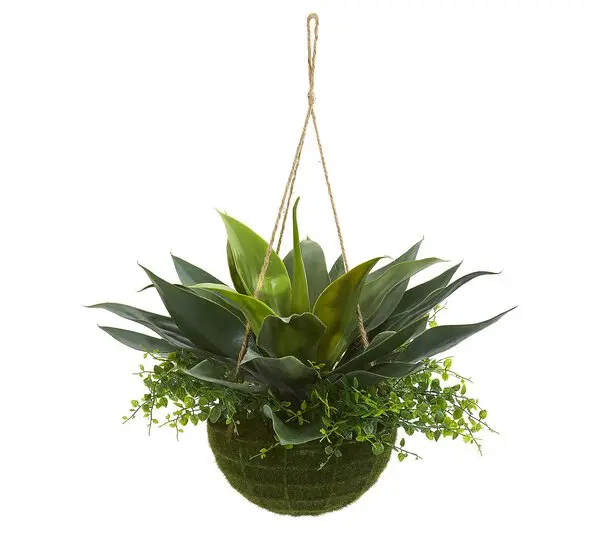 NEARLY NATURAL Agave And Maiden Hair Hanging Basket Nearly Atural - One-color