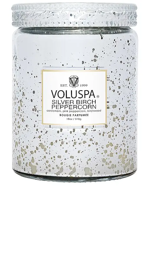 Voluspa Large Jar Candle In Metallic Silver - Silver Birch Peppercorn