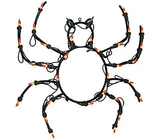 NORTHLIGHT 15' Lighted Spider Halloween Window Ecoration - One-color