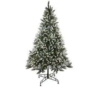 NORTHLIGHT 6.5' Medium Frosted Sierra Fir Christmas Tree Clear Lights - One-color