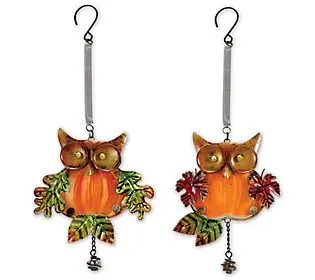 SUNSET VISTA DESIGNS Svd Owl Bouncy Ornaments - One-color